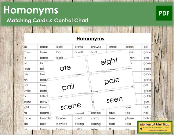 Homonyms Grammar Printable Montessori Materials Digital | Etsy