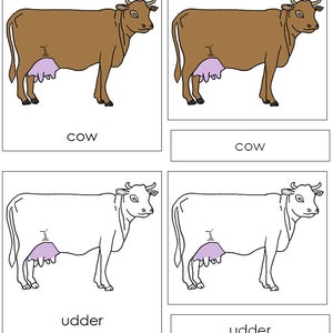 Parts of a Cow Nomenclature 3-part Cards - Montessori Zoology ...