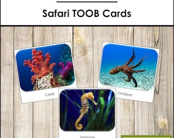 Montessori Coral Reef 3 Part Cards safari Toob - Etsy