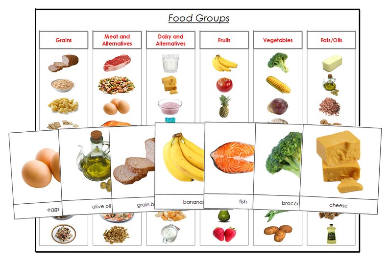 Food Groups Sorting Cards & Chart - Montessori Nutrition Activity ...