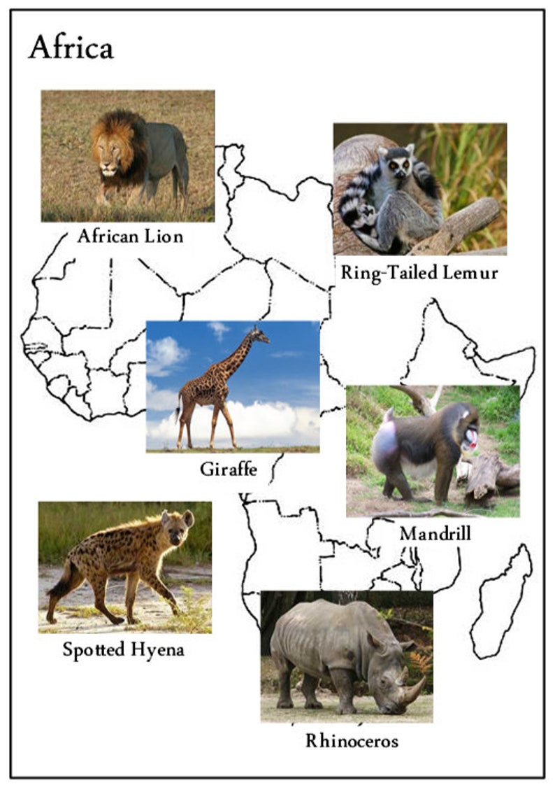 Animals of the Continents Set 1 Montessori Geography & - Etsy