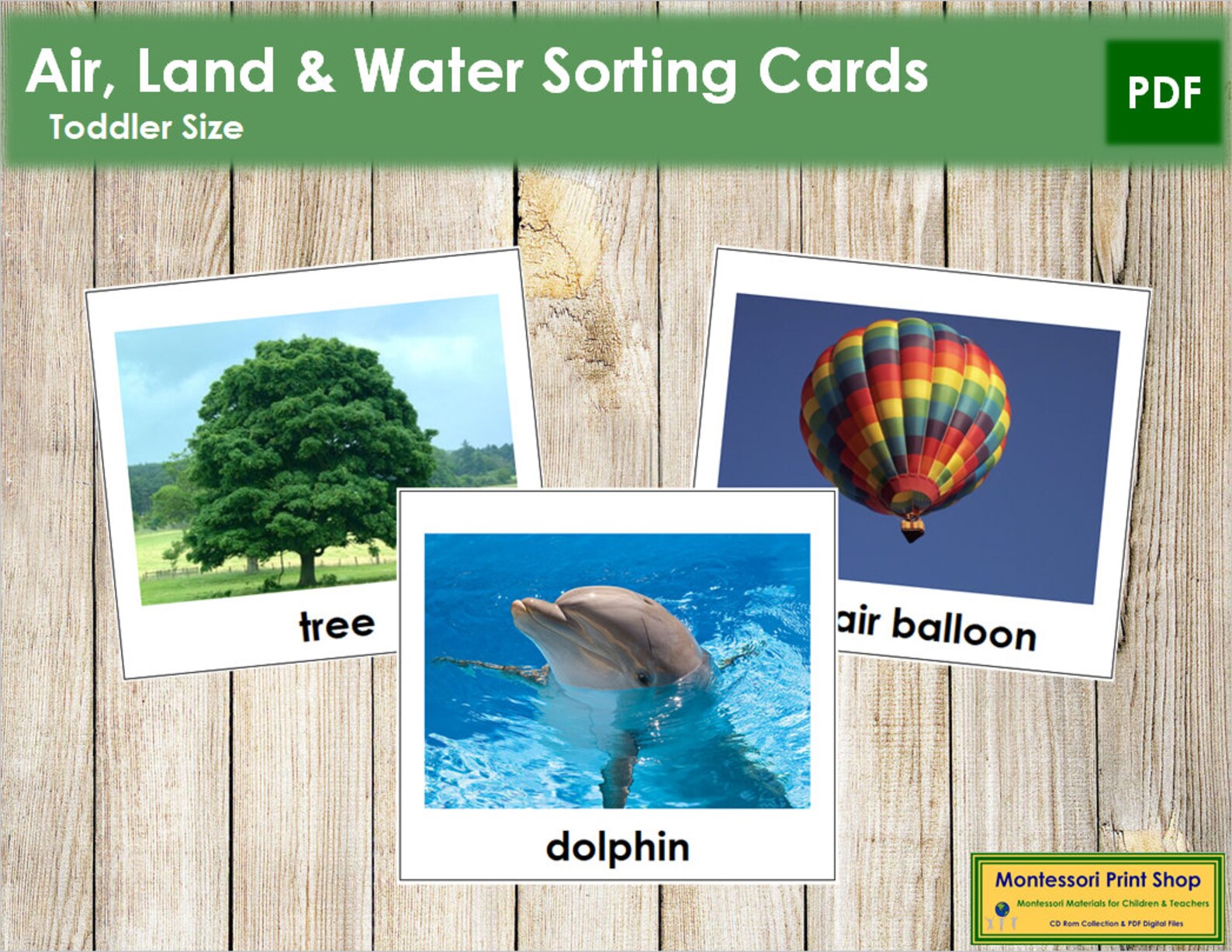 Air Land & Water Sorting Cards Printable Toddler Montessori - Etsy