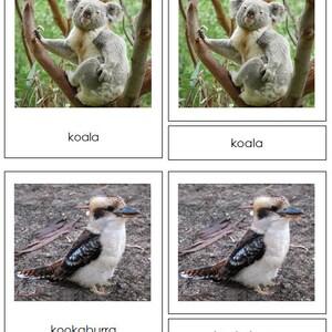 Australia/oceania Continent Bundle - Montessori Continent Cards ...