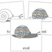 Parts of a Snail Nomenclature 3-part Cards & Blackline Master ...