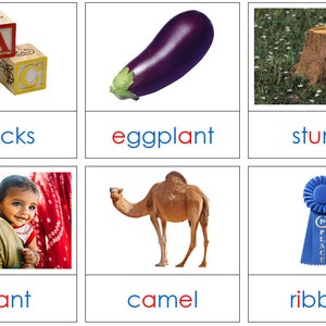 Phonetic Picture Cards Level 2 (red Vowels) - Montessori Language ...