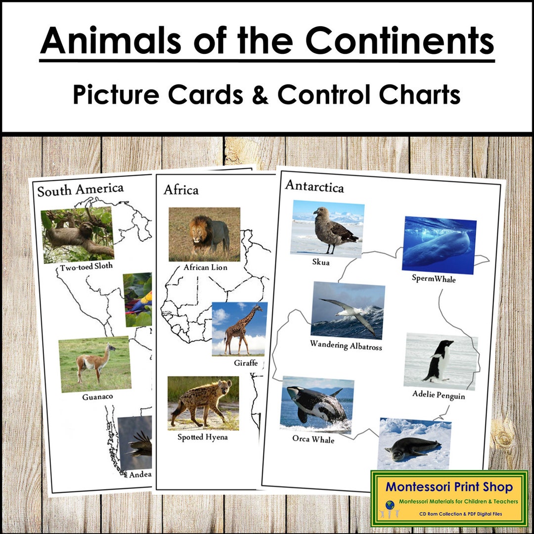 Animals of the Continents Set 1 - Montessori Geography & Zoology ...