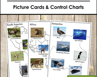 Animal Continents Activity Sheets - Etsy Canada