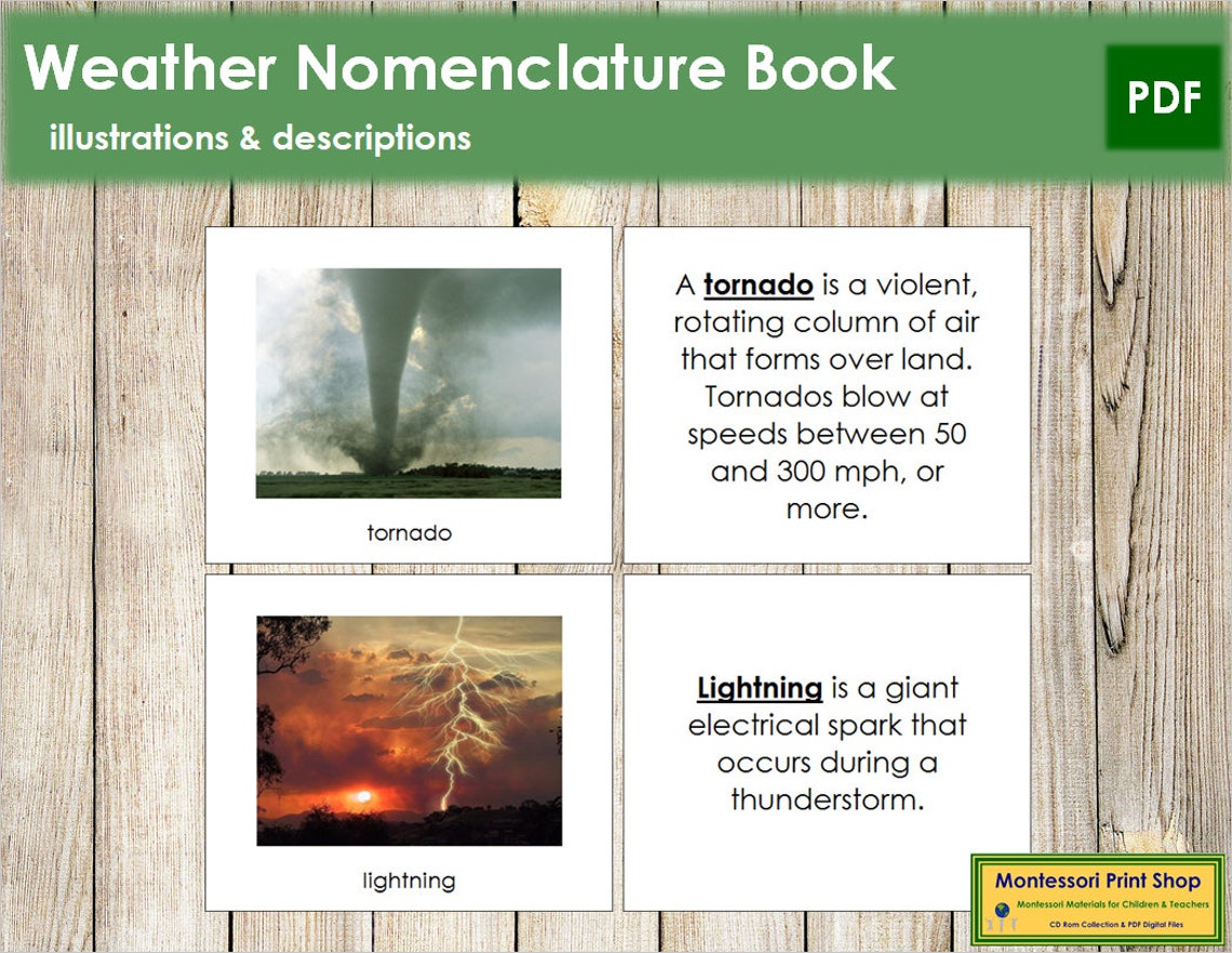 Types of Weather Nomenclature Book Science Printable | Etsy