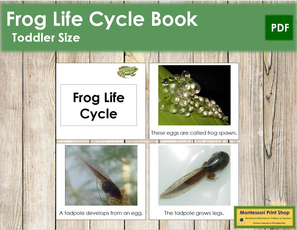 Frog Life Cycle Book Printable Toddler Montessori Materials - Etsy
