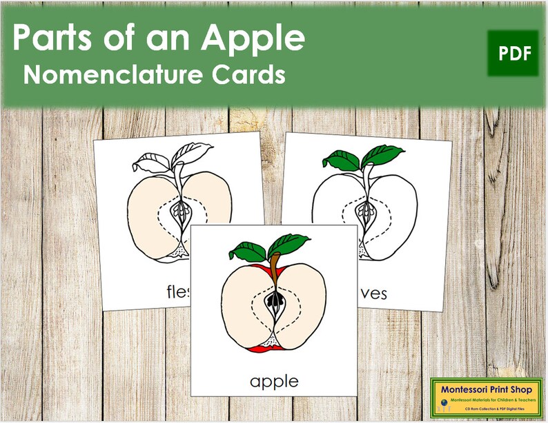 Parts of an Apple Nomenclature 3-part Cards Montessori - Etsy