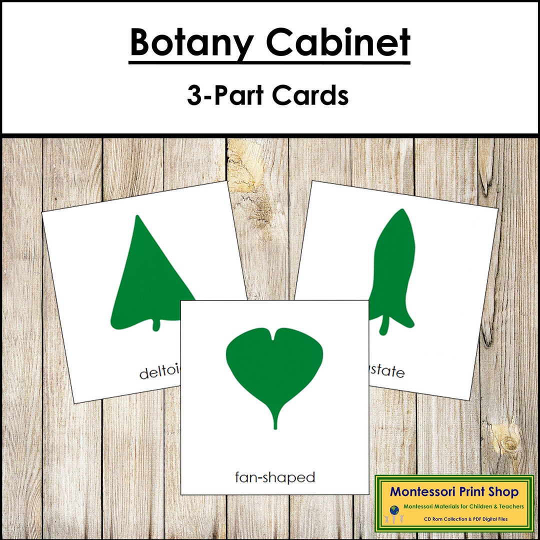 Montessori Botany Cabinet Nomenclature 3-part Cards - Leaf Shapes ...