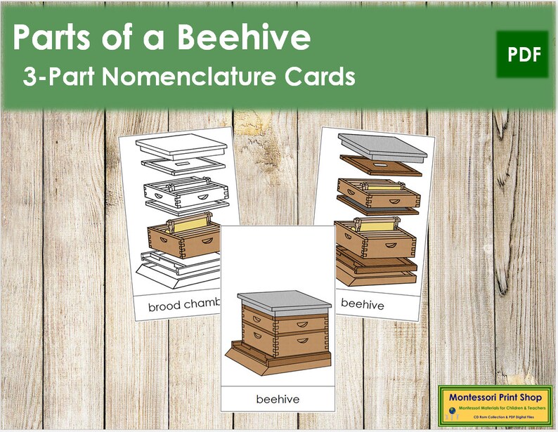 Parts of a Beehive Nomenclature 3-part Cards Printable - Etsy