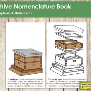 Parts of a Beehive Nomenclature Book Printable Montessori | Etsy