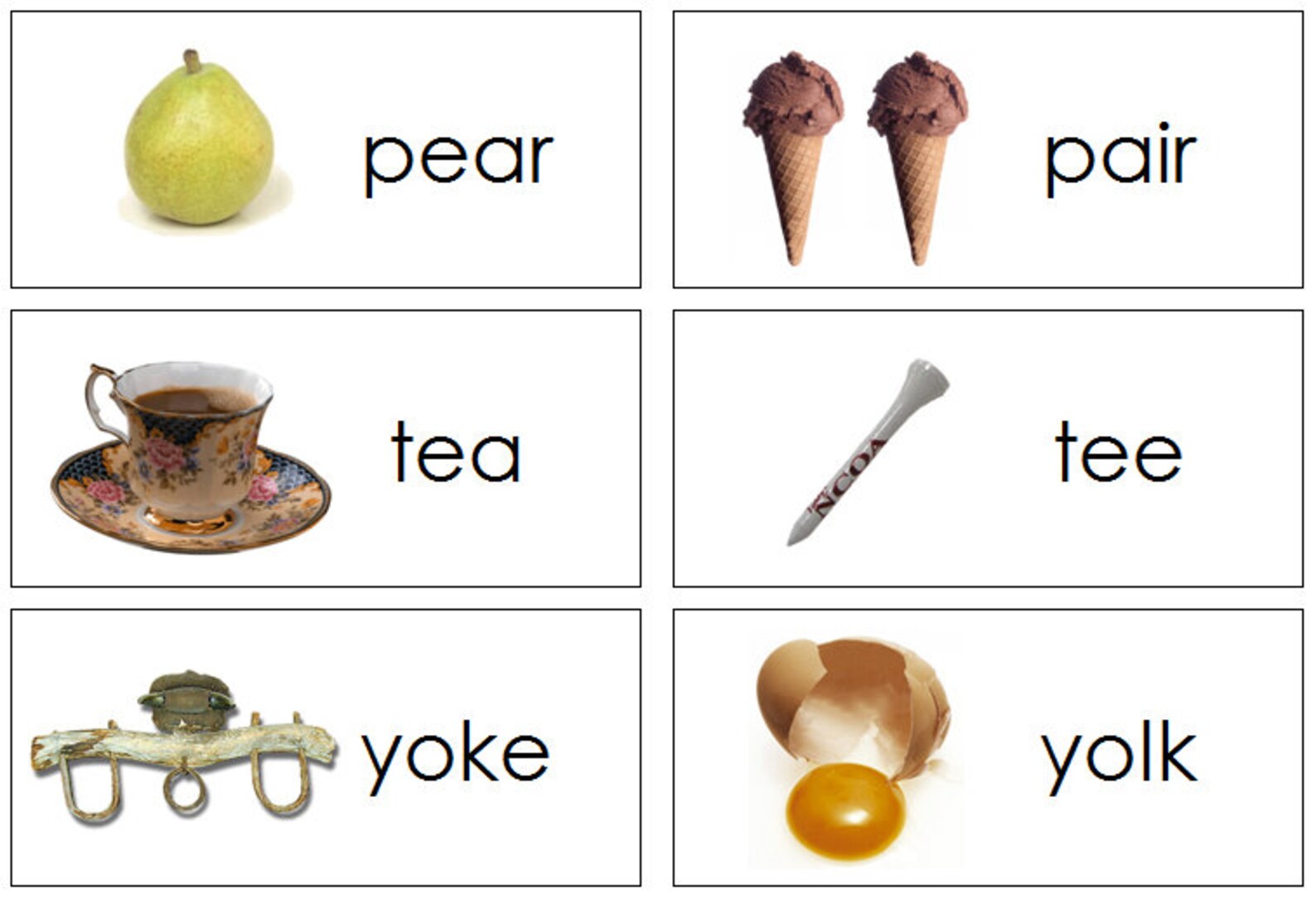 Homonym Words & Picture Cards Montessori Grammar Printable | Etsy