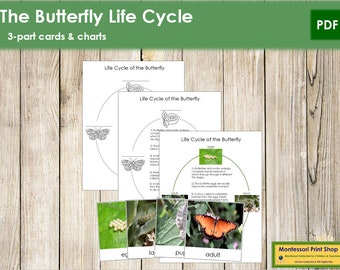 The Salmon Life Cycle 3-part Cards & Charts Montessori | Etsy