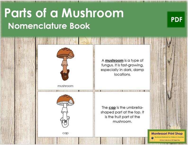 Parts of a Mushroom Nomenclature Book Montessori Botany - Etsy