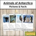 Ocean Animals Sorting Cards & Control Chart Zoology Printable ...