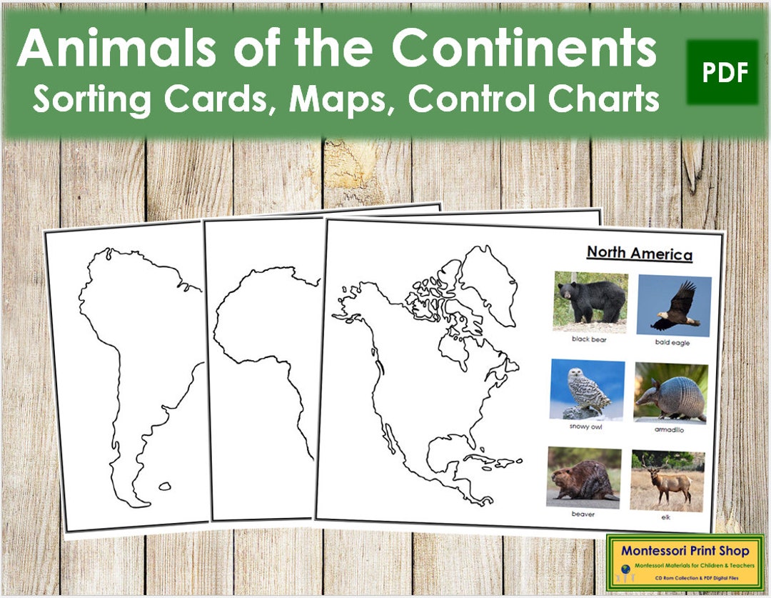 Animals of the Continents Set 2 Montessori Geography & - Etsy
