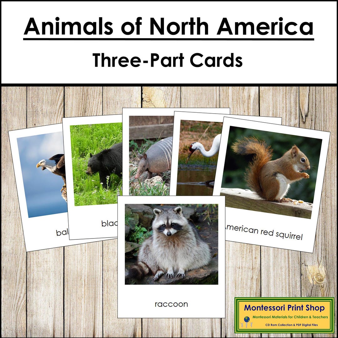 Montessori Animals of North America 3-part Cards - Geography Continent ...
