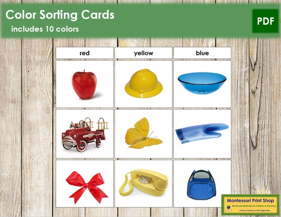 Color Sorting Cards Preschool Printable Montessori Cards | Etsy