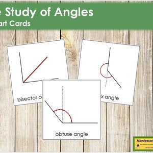 The Study of Angles Nomenclature 3-part Cards Geometry - Etsy