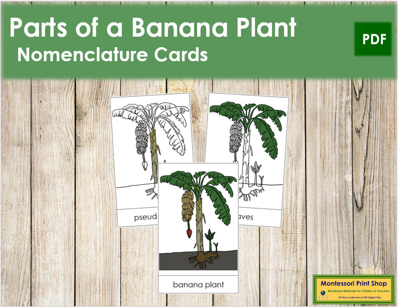 Parts of a Banana Plant Nomenclature 3-part Cards Montessori - Etsy