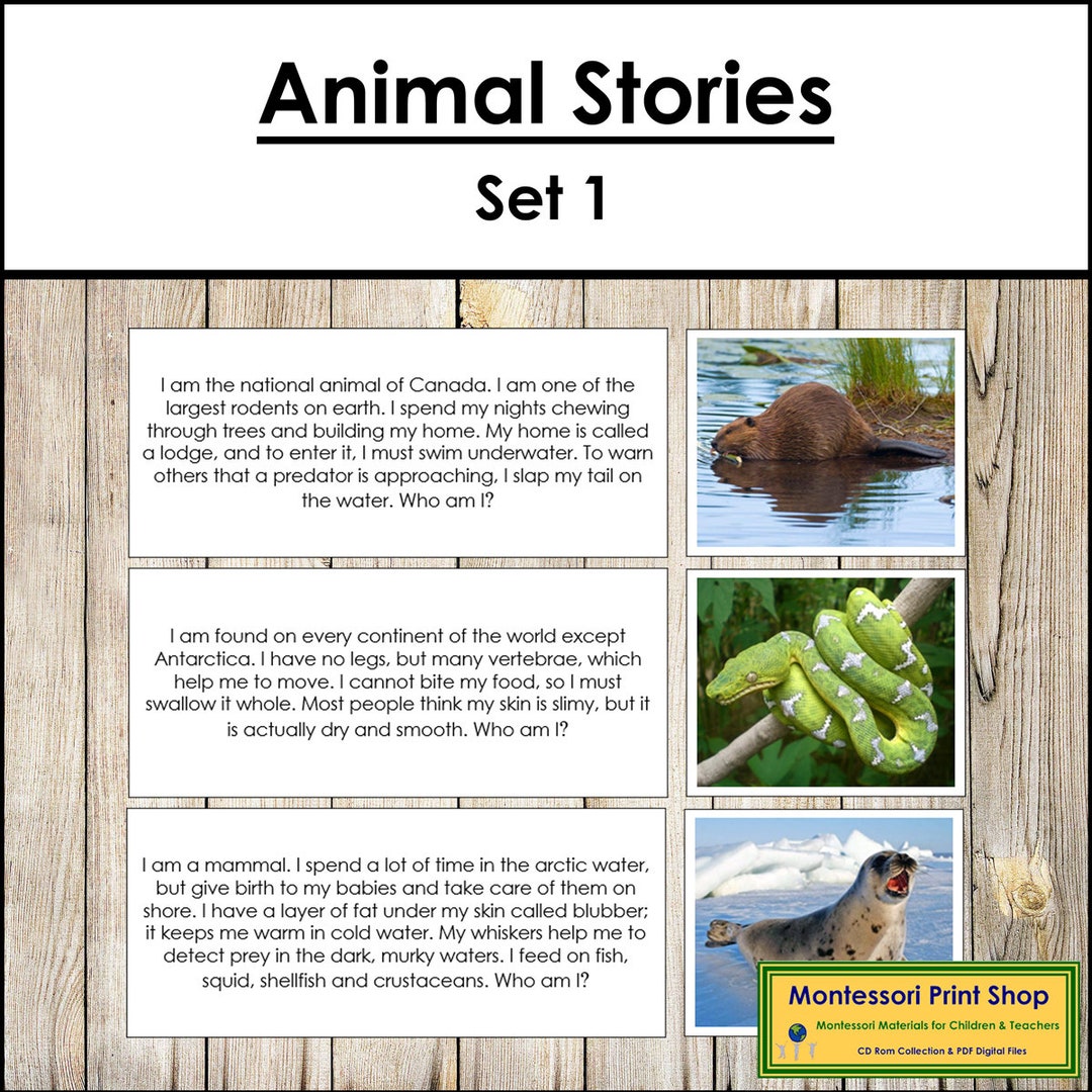 Animal Stories Set 1 - Zoology - Printable Montessori Cards - Digital ...