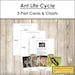 The Ant Life Cycle 3-part Cards, Charts & Blackline Masters ...