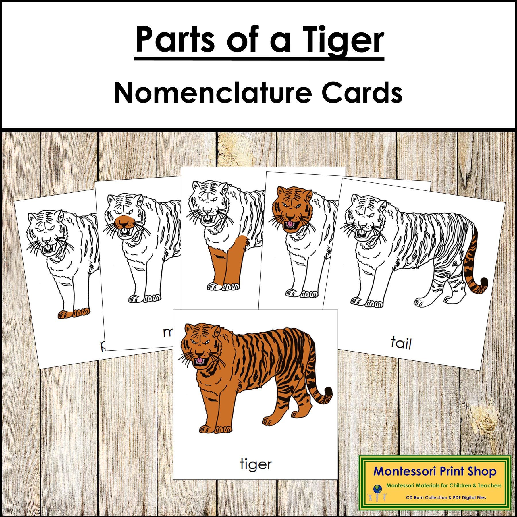 Parts of a Tiger Nomenclature 3-part Cards & Blackline Master ...