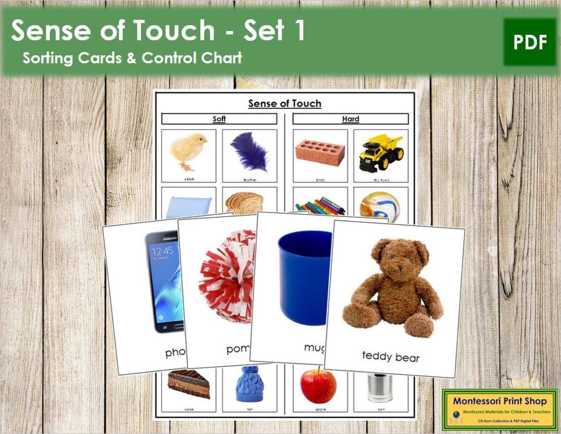 Sense of Touch Sorting Cards & Control Chart Set 1 Science | Etsy