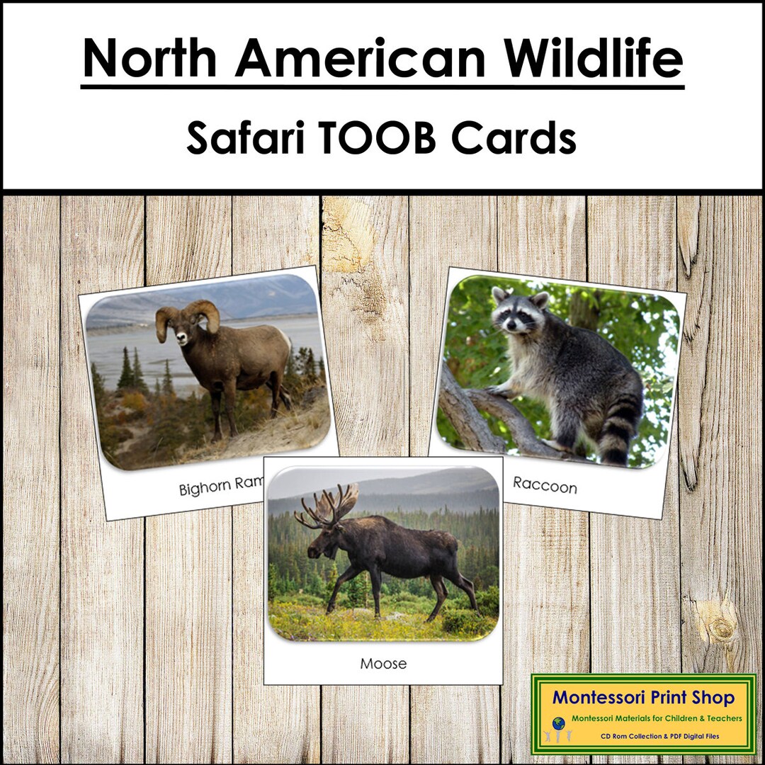 North American Wildlife Safari TOOB Cards - Montessori 3-part Cards ...