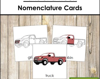 Montessori 3 Part Cards Parts of a Tiger - Etsy