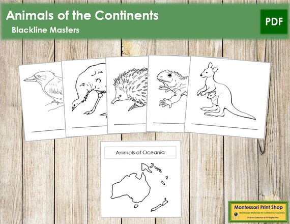 Animals of the Continents Booklets blackline Masters | Etsy
