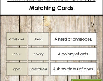Animals and Their Skin Matching Cards Zoology Printable Montessori ...