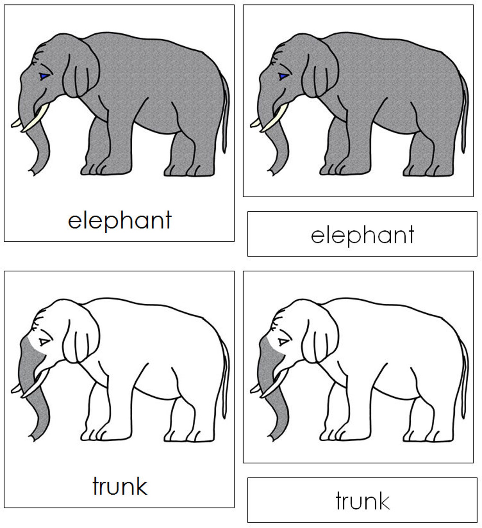 Parts of an Elephant Nomenclature 3-part Cards Montessori - Etsy Norway