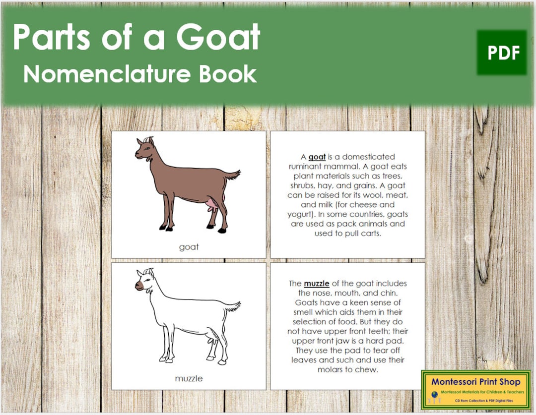 Parts of a Goat Nomenclature Book Montessori Zoology - Etsy
