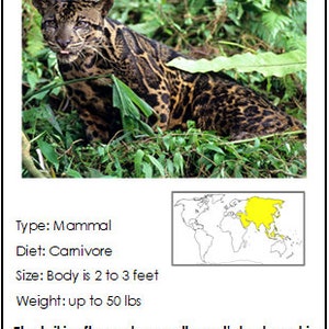 Animals of Asia Facts & Picture Cards (color-coded) - Montessori ...