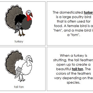 Parts of a Turkey Nomenclature Book - Montessori Zoology (digital ...