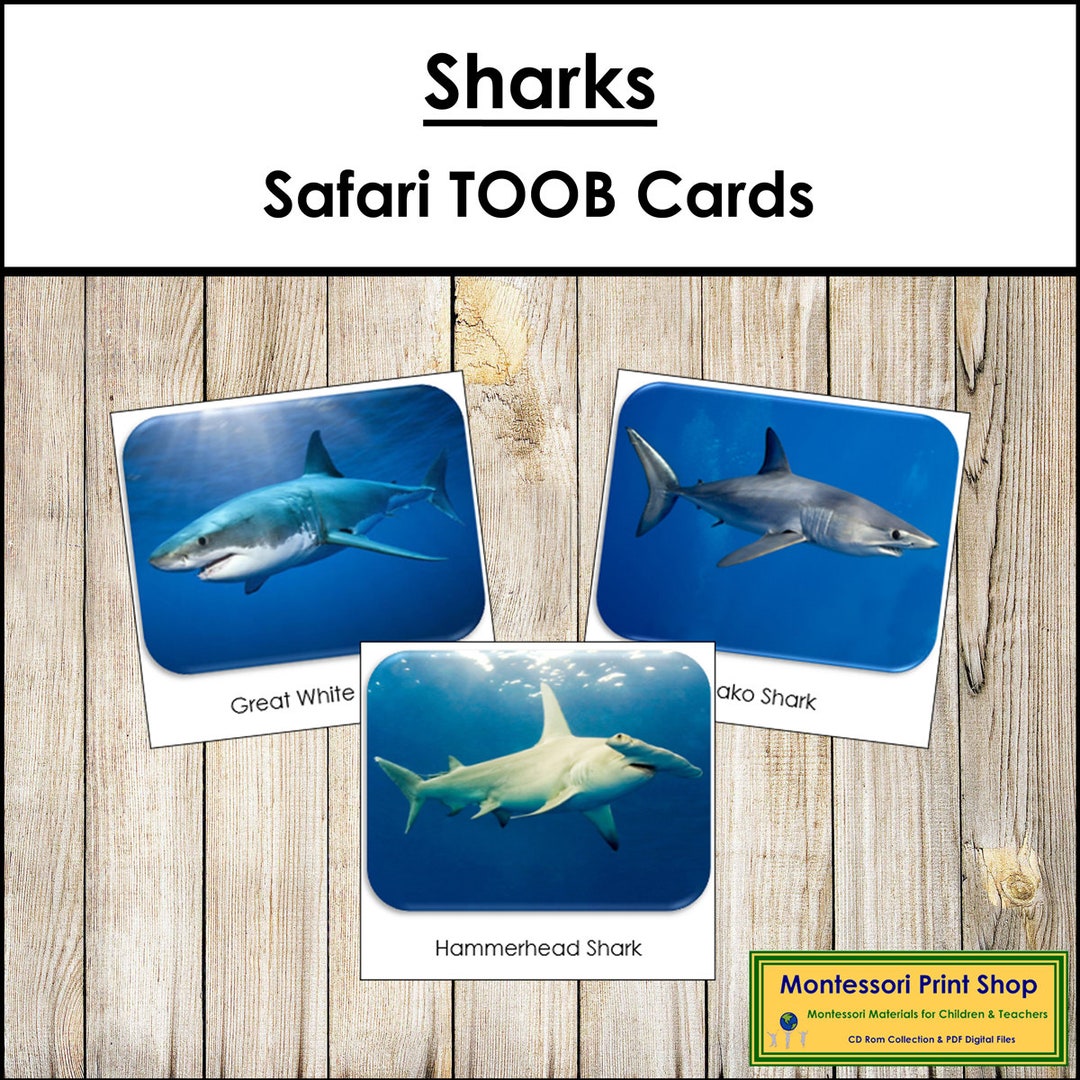 Sharks Safari TOOB Cards - Montessori 3-part Cards (digital Download ...