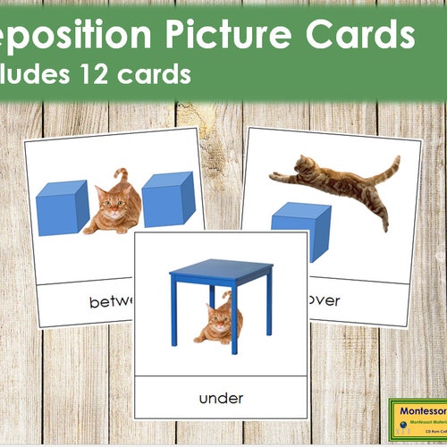 Opposite Matching Cards Montessori Language & Grammar - Etsy