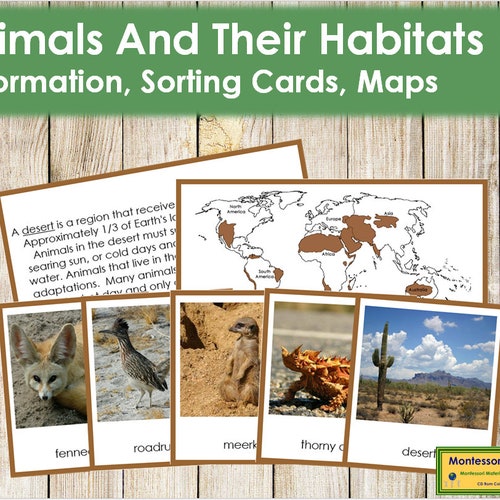 Animals and Their Homes Matching Cards Zoology Printable - Etsy