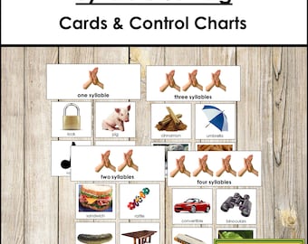 Seed and Plant Matching Cards Montessori Botany Printable - Etsy