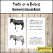Parts of a Zebra Nomenclature Book - Montessori Zoology (digital ...