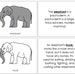 Parts of an Elephant Nomenclature Book Montessori Zoology Printable ...