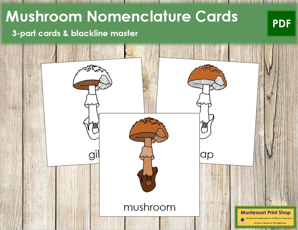 Parts of a Mushroom Nomenclature 3-part Cards Montessori | Etsy Canada