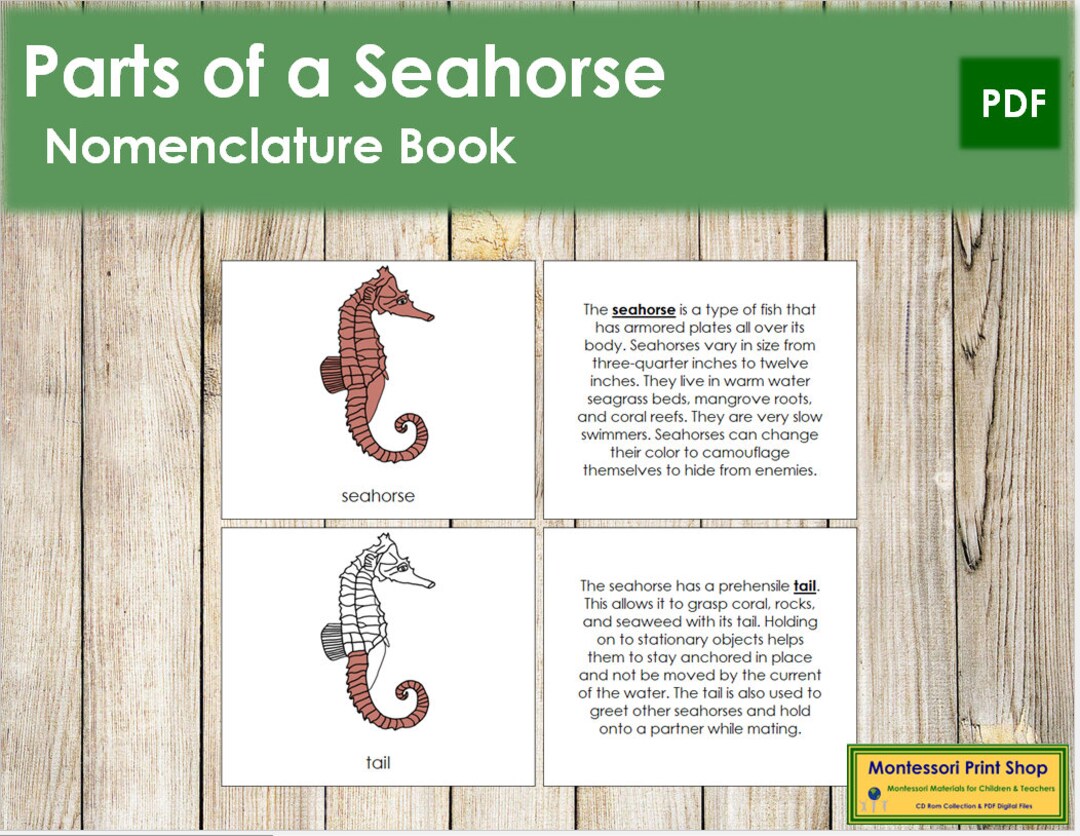 Parts of a Seahorse Nomenclature Book Montessori Zoology - Etsy