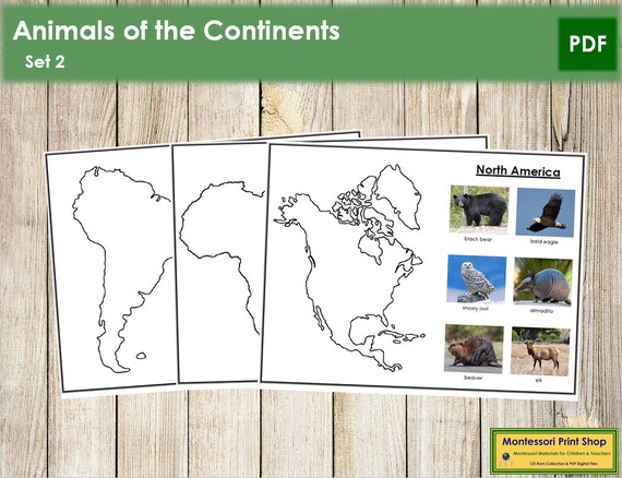 Animals of the Continents Set 2 Montessori Geography & | Etsy