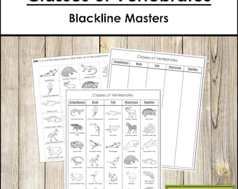 GERMAN VERSION Animals of the Continents Mats Montessori - Etsy