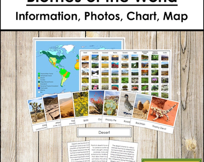 Landforms & Biomes: Foundations in Earth Science for Early Elementary ...