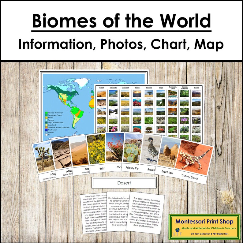 Biomes of the World Sorting Cards, Chart and Information - Montessori ...